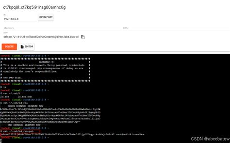 Play With Docker 使用ssh命令远程登录时permission Denied Publickeyplay With