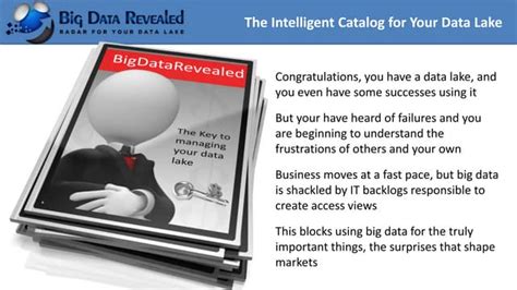 Big Datarevealed Hadoop Catalog Ppsx Databases Computer Software And Applications