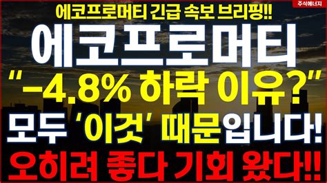 에코프로머티 48 하락 이유 모두 이것 때문입니다 오히려 좋다 기회 왔다 에코프로머티 긴급속보 브리핑