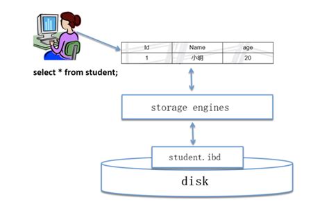 08 mysql数据库 · 英格网络实验室