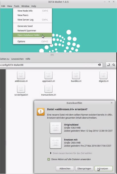 Iota Node Tutorial
