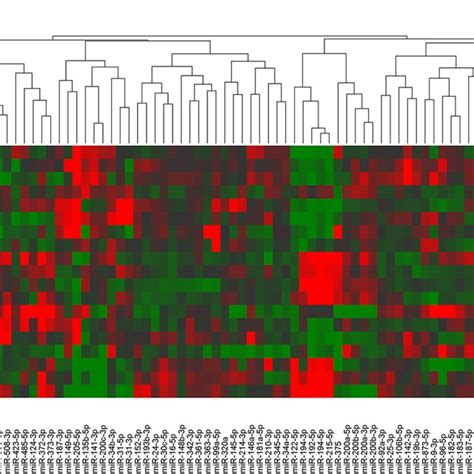 Cluster Analysis Of Primary Tumors Heatmap Representing The Expression Download Scientific