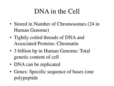 PPT DNA In The Cell PowerPoint Presentation Free Download ID 5327765