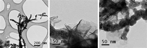 Figure S1 TEM Images Of NFe FeS Download Scientific Diagram