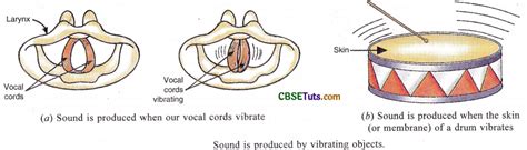 Production And Propagation Of Sound Waves In Air Cbse Tuts