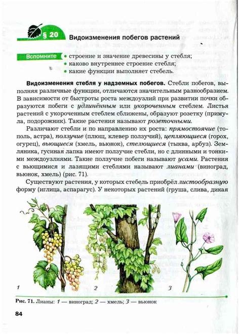 Учебник биология 7 класс Пономарева фгос читать онлайн