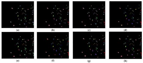 Remote Sensing Free Full Text Hyperspectral Image Classification Based On Two Branch