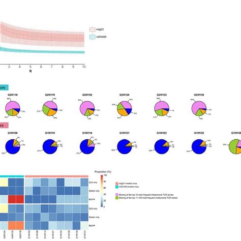 Clonal Diversity And Tissue Distribution Of Tcr Repertoires A Hill