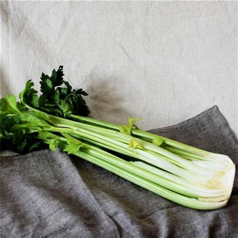 Celery 12 Certified Organic Small All About Organics Online
