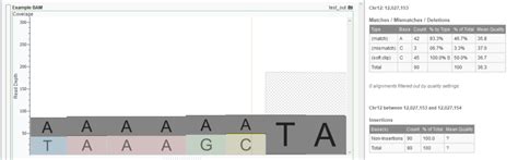 Maximizing Structural Variant Detection Visualizing Soft Clips