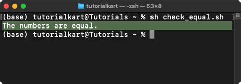 Bash Eq Operator Equal To