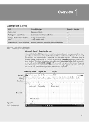MS Excel Lesson 5 Using Functions 5 63 LESSON SKILL MATRIX Skills Exam Objective Objective
