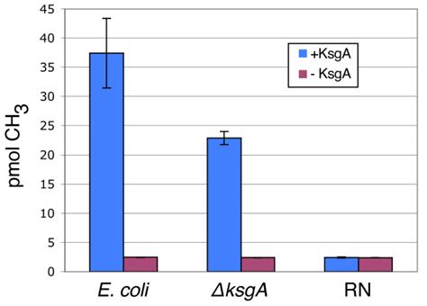activity assay experiments were performed in triplicate error bars