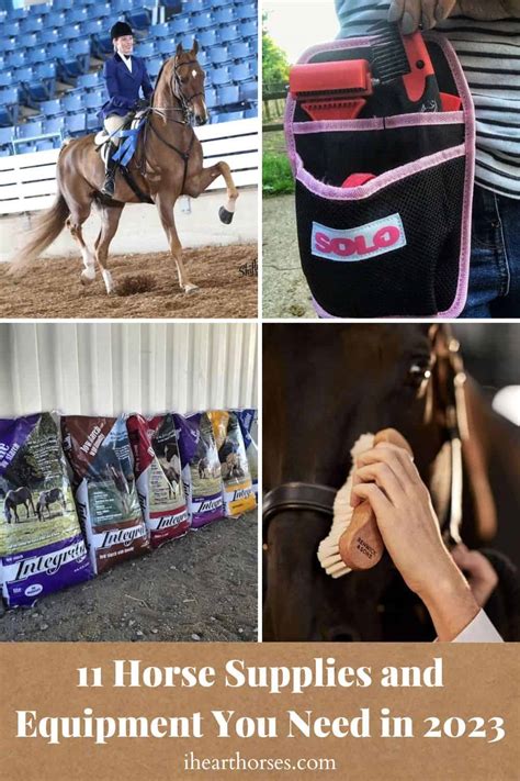11 Horse Supplies And Equipment You Need In 2023