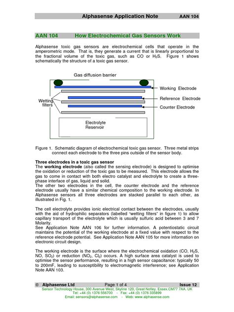 How Electrochemical Gas Sensors Work Pdf Electrochemistry Electrode
