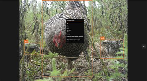 Fr Display More Text Data In Visualizer Tooltip Ocr · Issue 2760
