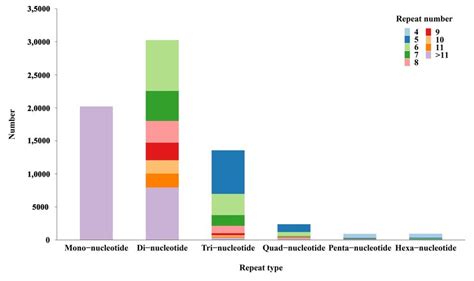 The Distribution Of Different Ssrs Download Scientific Diagram