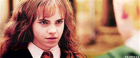 Hermione Granger Harry Potter  Wiffle