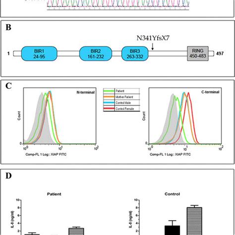 Hsct Drug Treatments The Figure Illustrates The Conditioning Regimen