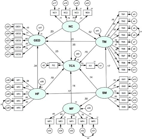 Risk Factors Path Relationship Download Scientific Diagram