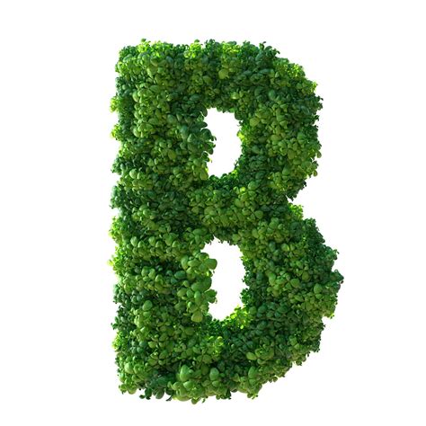 The Letter B In Green