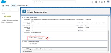 How To Create A Salesforce Connected App Softbuilder Blog