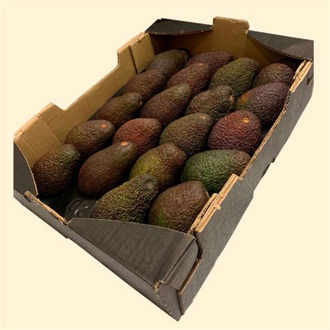 Авокадо фрукты ягоды и овощи оптом — Свежие фрукты и овощи оптом