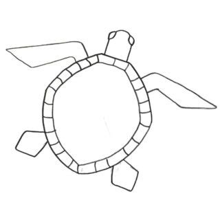 How To Draw A Sea Turtle Easy Step By Step Tutorial