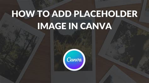 How To Add Placeholder Image In Canva Template Fonts