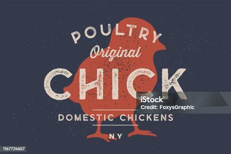 병아리 가금류 빈티지 로고 복고풍 프린트 도살장 포스터 로고에 대한 스톡 벡터 아트 및 기타 이미지 로고 가금류 가축 Istock
