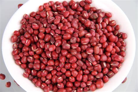 红豆图片素材 红豆设计素材 红豆摄影作品 红豆源文件下载 红豆图片素材下载 红豆背景素材 红豆模板下载 搜索中心