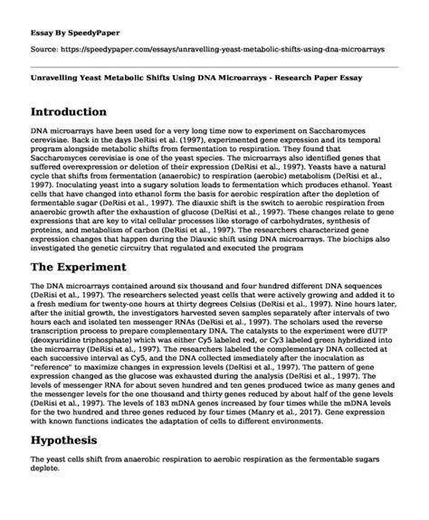 📚 Unravelling Yeast Metabolic Shifts Using Dna Microarrays Research Paper