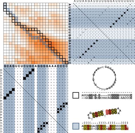 Schematic Of A Pairwise Alignment With Dotaligner A Dynamic