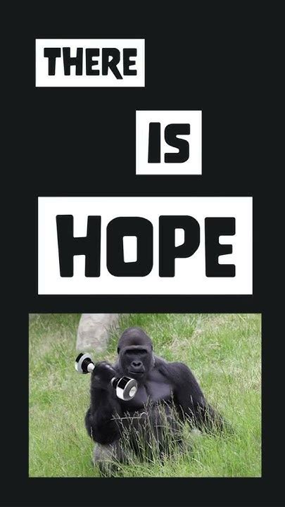 Js Javascript Reactfrontend Frontend Frontendinterview Javascriptdev Programming