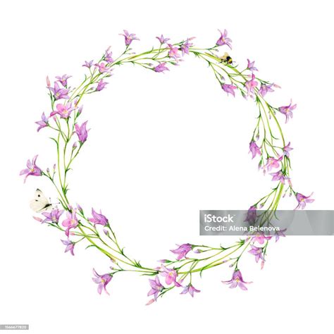 필드 종은 꿀벌과 나비가 손으로 그린 둥근 프레임입니다 흰색 바탕에 섬세한 꽃들의 수채화 그림 초원 야생화 섬유 포토 프레임 로고 카드 디자인과 초대장을 위한 꽃 그림 0