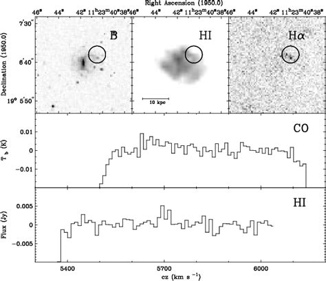 Table 1 From Star Formation And The Interstellar Medium In Low Surface Brightness Galaxies Ii