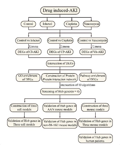 Work Flowchart Limma Linear Models For Microarray Data Degs