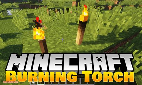 Burning Torches Mod 1 18 2 1 16 5 Torches Are Not Forever Mc Mod Net