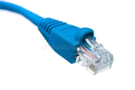 Patch Cord Stock Image Image Of Internet Patch Connectors