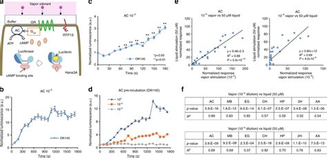Vapor Detection With Glosensor Assay System A Schematic Representing Download Scientific