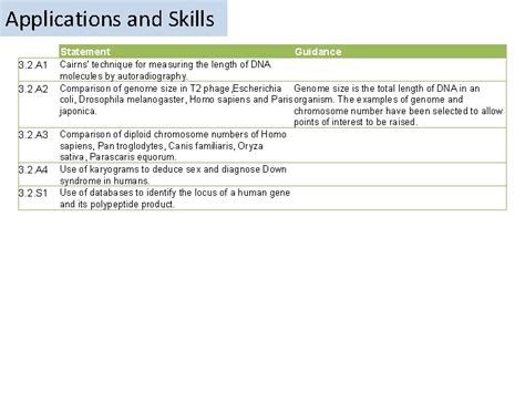 3 2 Chromosomes Essential Idea Chromosomes Carry Genes