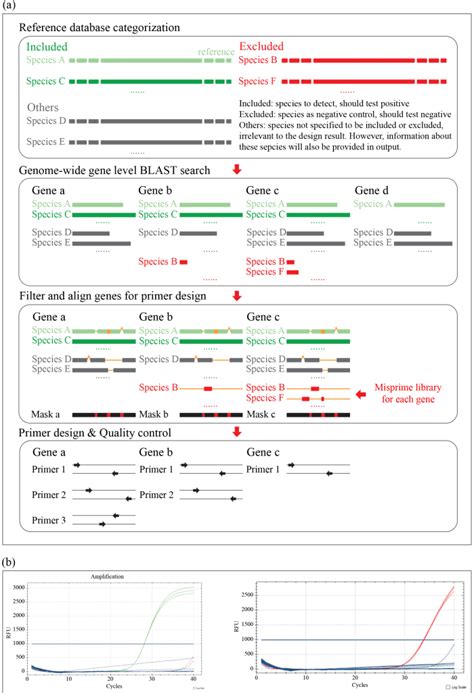 Genome Wide Primer Design Introducing A Flexible And Scalable Python