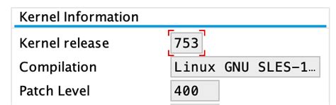 Sap Netweaver Sni Configuration Its Full Of Stars