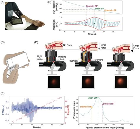 System Overview Using Finger Oscillometry To Calculate Bp A Download Scientific Diagram