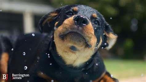 Rebecca Jones On Linkedin Development Quantumcomputing Rf Qubit