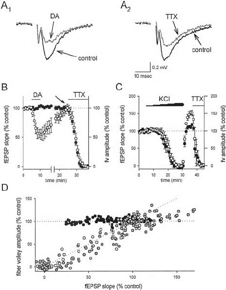 Kar Activation Depresses Synaptic Transmission Without Af Fecting