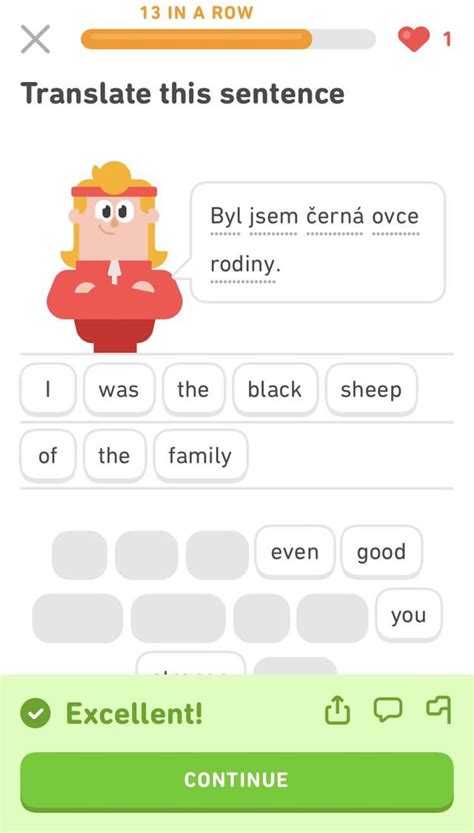 Strange Sentence I Solved Today Rduolingo