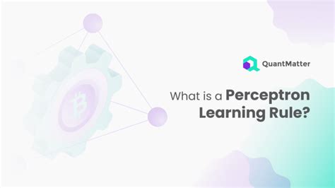 Perceptron Learning Rule A Comprehensive Guide Quant Matter
