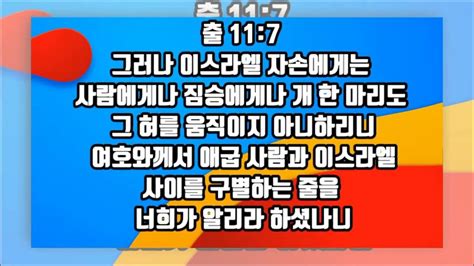 출애굽기11장7절 성경풀링코스 Youtube