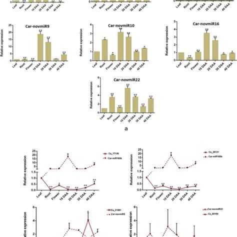 A Expression Analysis Using Quantitative Real Time Stem Loop Pcr Of